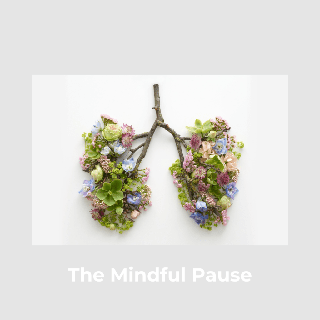 The Mindful Pause - Jane Kennedy Counselling