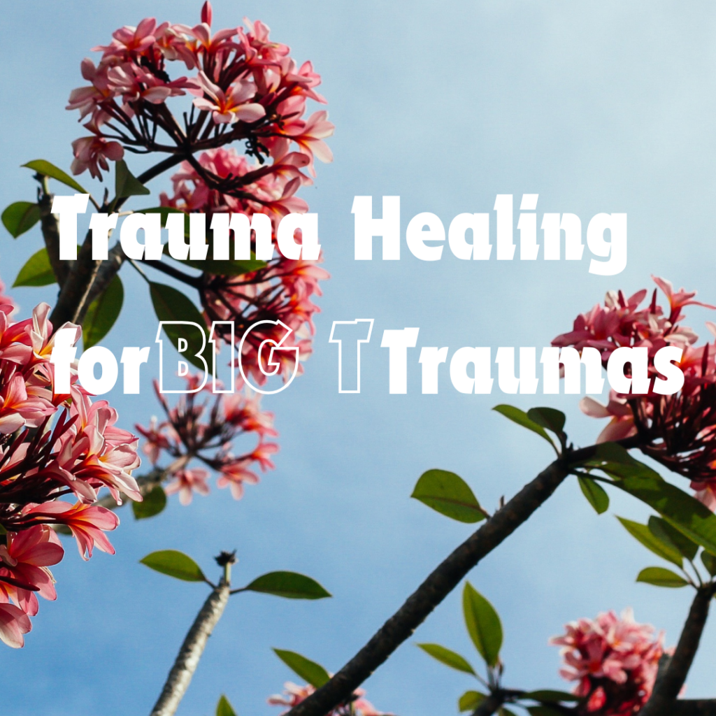 Trauma Healing for Big T Traumas - Jane Kennedy Counselling