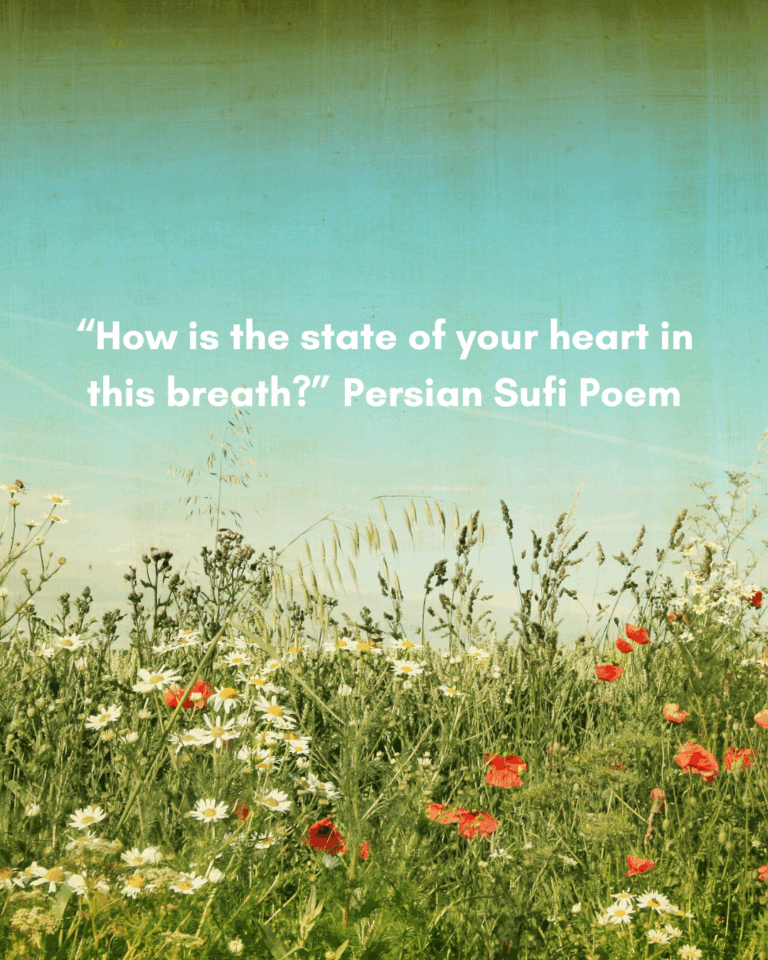 Home - Jane Kennedy Counselling