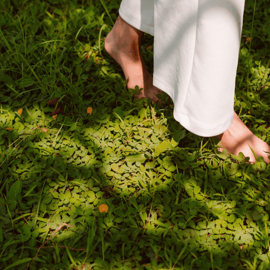 Home - Jane Kennedy Counselling